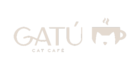 GATÚ Cat Café - Perú - Cafetería con Gatitos en Adopción