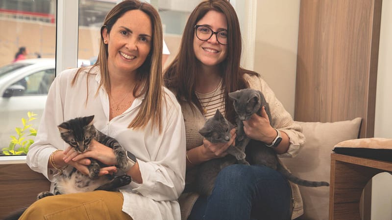 Quiénes Somos - Conoce la felina Historia de Gatú Cat Café
